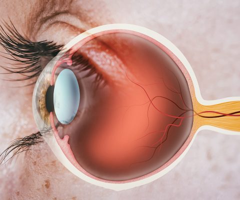 Treatments & Services | UofL Health