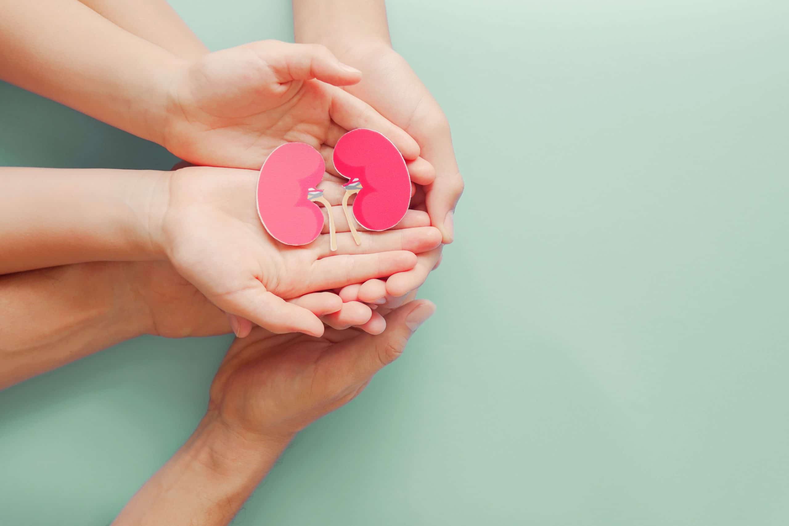 Transplant Surgery Center | Louisville KY | UofL Health